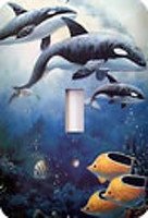 AF17 Whales or Orca Switchplates371